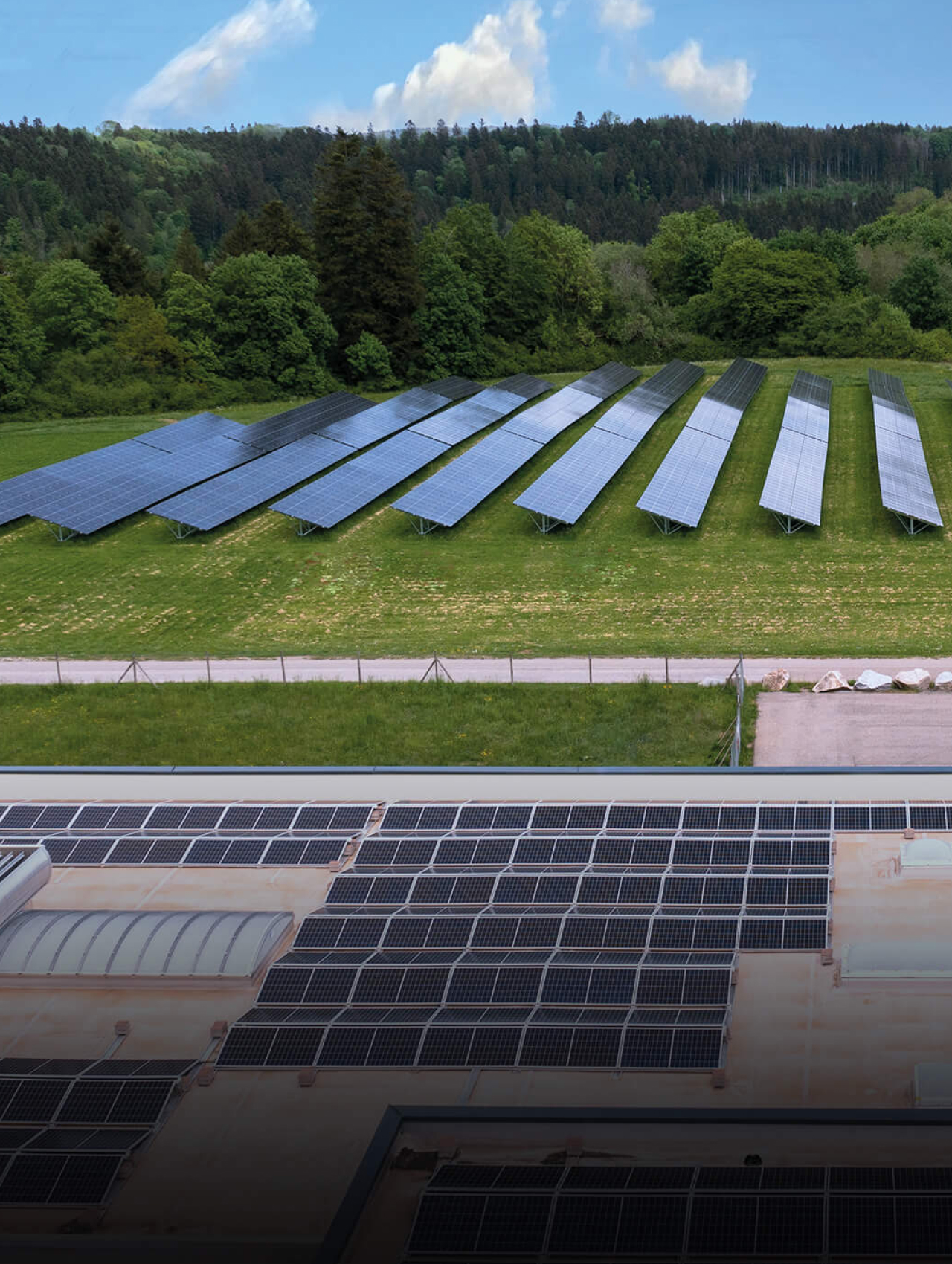 Green G. GROHE Technology